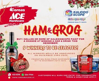 SmartTerm, SVG gov't partner to digitise education system – iWitness News